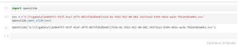 openslide安装成功记录Windows python openslide python CSDN博客