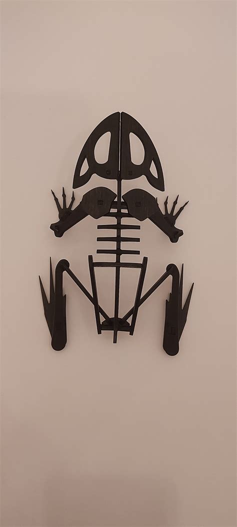 Frog Skeleton Kit Bone Frog Puzzle DIY Gift Etsy