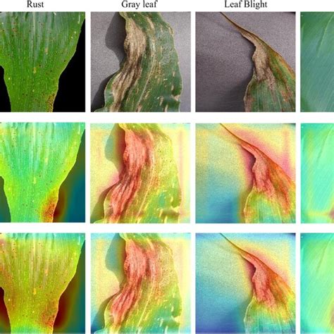Grad Cam Visual Cbam Attention Map Download Scientific Diagram