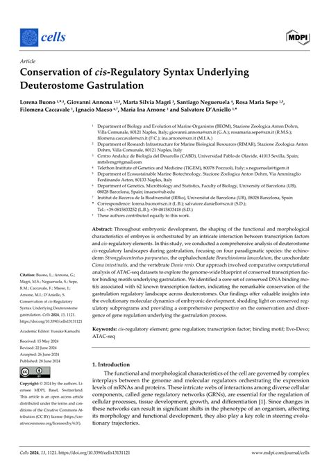 Pdf Conservation Of Cis Regulatory Syntax Underlying Deuterostome