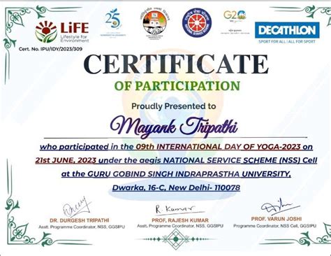 Mayank Tripathi On Linkedin Thanks Ipu For This Certificate