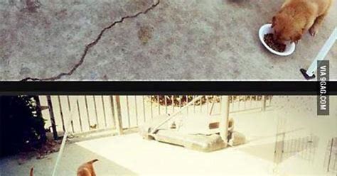 Multi Threading Programming Practise Vs Reality Imgur