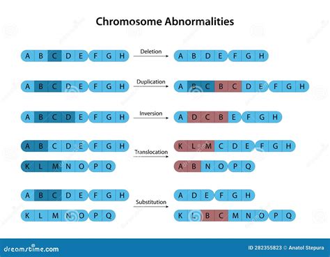 Chromosomal Abnormality Chromosomal Mutation Stock Vector