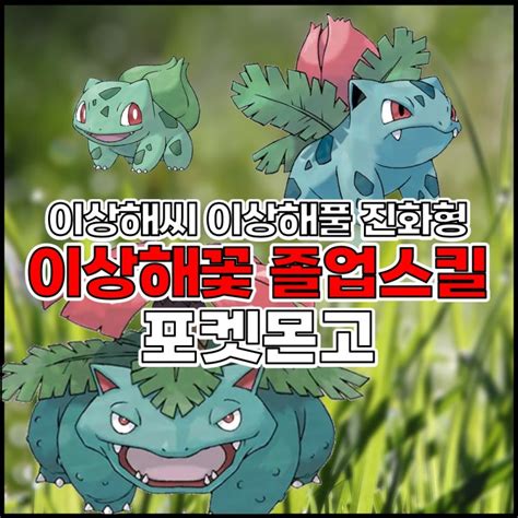 포켓몬고 이상해꽃 졸업스킬 및 약점 공략 이상해씨 이상해풀 진화형 네이버 블로그