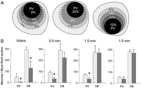 Figure 1 From Superior Colliculus Lesions Preferentially Disrupt