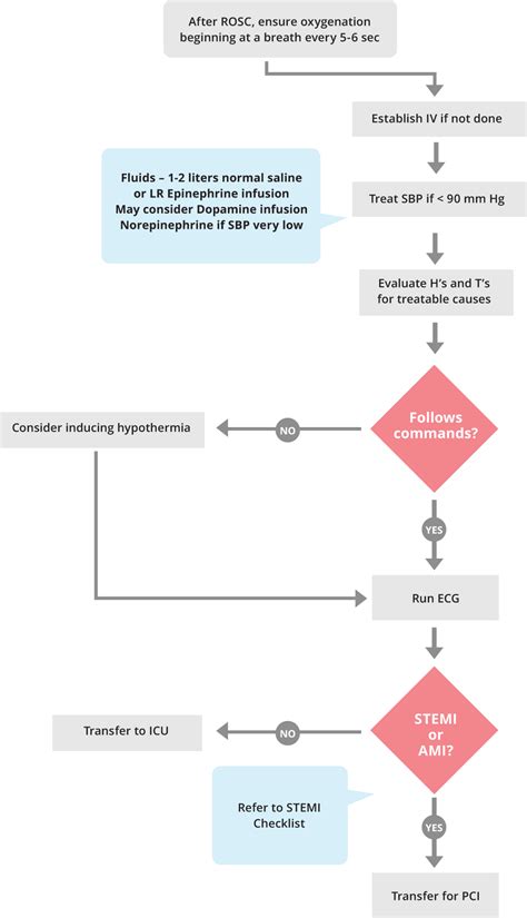 Adult Post Cardiac Arrest Care Algorithm ACLS Medical Training