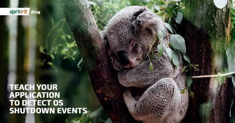 Handling Os Shutdown Events With Winapi Apriorit