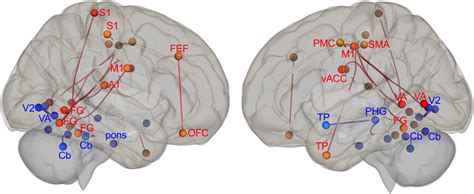 Correlations Between VI Quality And Functional Connectivity Changes Download Scientific