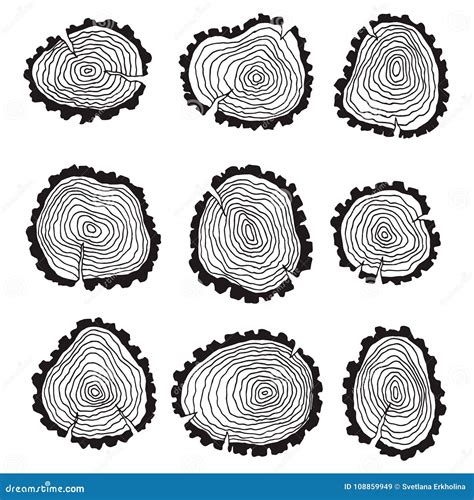 Set Of Tree Rings Tree Age Circles Round Shape Line Art Decorative Style Outline Isolated