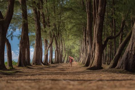 A Woman In Beautiful Dress Walking In The Pine Tree Tunnel Stock Image Image Of Photograph