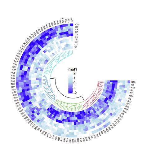 环形热图（1） 哔哩哔哩