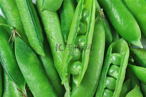 新鲜采摘的绿豌豆开口豆荚里的豌豆荷兰豆豌豆高清摄影大图 千库网