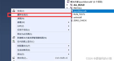 pyorbbecsdk奥比中光python版本sdk在windows下环境配置笔记 爱代码爱编程