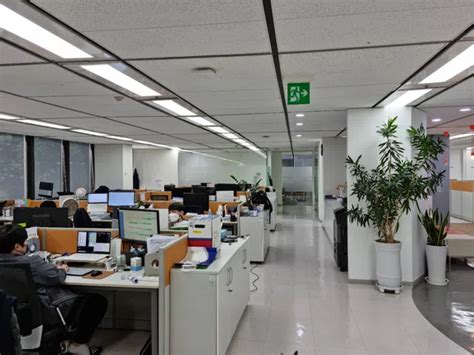 점핏 스크립트 웹 개발경력 채용