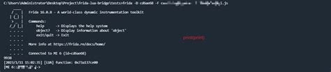 About Scheduleoninitializerthread · Issue 247 · Vfsfitvnmfrida Il2cpp