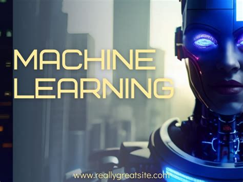 Do Custom Realtime Object Detection With Ai By Junaidbilal341 Fiverr