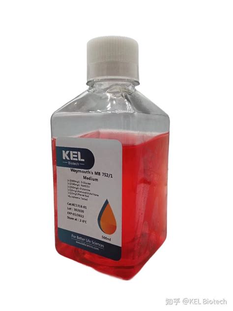 Kel Biotech血清 培养基 知乎