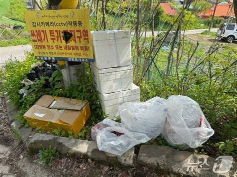 양평군 생활폐기물 불법투기 취약지역 점검45곳 관리 미흡 뉴스1