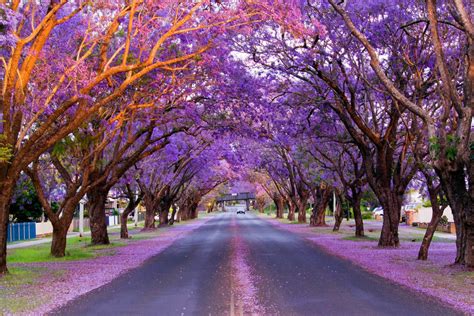 The Prettiest Spring Towns To Visit In Nsw