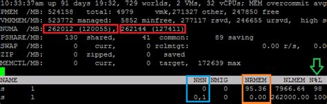 Vmware Best Practices Numa Vnuma Virtualease