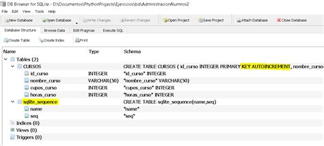 Campos Auto Incrementables En Sqlite Con Python Fragmentos De Código