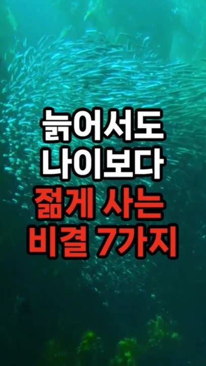 늙어서도 나이보다 젊게 사는 비결 7가지 Youtube