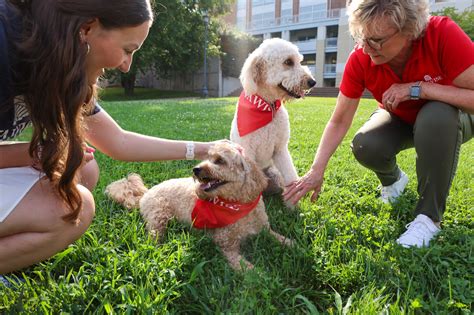 The The University Of Virginias College At Wise