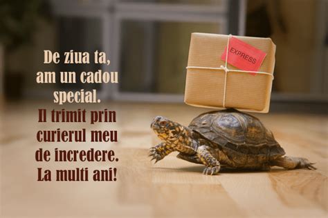 Flori Si Sampanie La Multi Ani Poze Cu Flori La Mul I Ani G Se Te Imagini Cu La Mul I