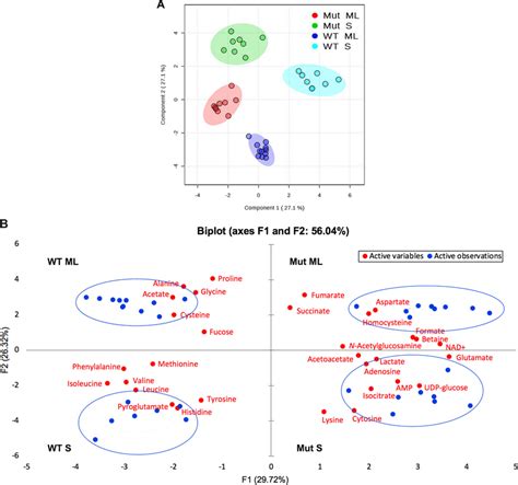 A 2d Spls Da Demonstrate That Each Sample Type Can Be Separated Into A Download Scientific