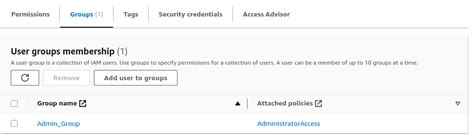 Tech Giant Project Sample App Docker Build With Jenkins Store Ecr