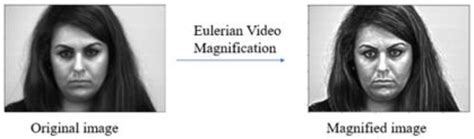 Facial Micro Expression Recognition Using Double Stream 3d Convolutional Neural Network With