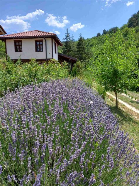 Вила на Влаина Планина на 1020 мнв Kajak Mk Gorgi Kamov