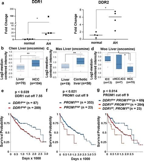 Ddr1 Upregulation In Liver Cancer Associated With Poor Patient
