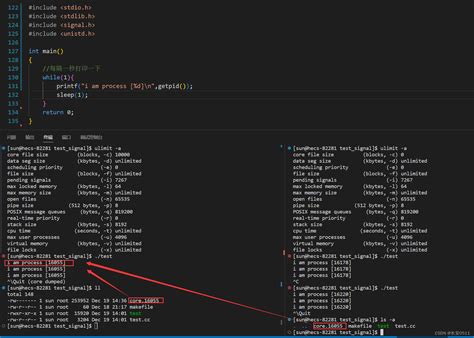 深入了解linux信号：作用、产生、捕捉和阻塞linux信号阻塞作用 Csdn博客