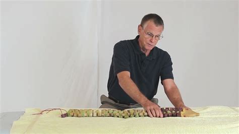 Deep Tissue Massage An Integrated Full Body Approach 15 Introduction To Vertebral Movement