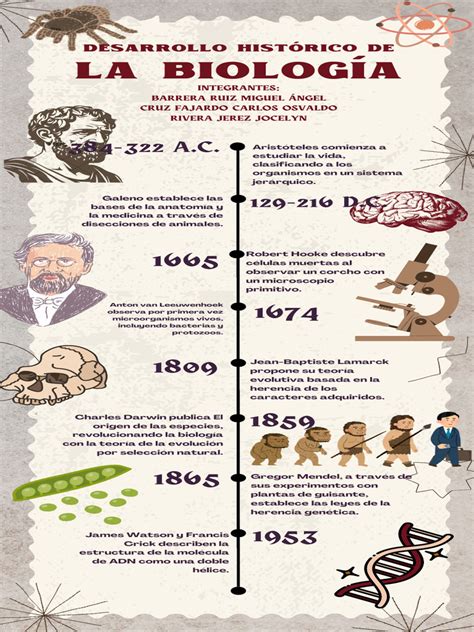 Línea Del Tiempo Desarrollo De La Biología Pdf Biología Evolución