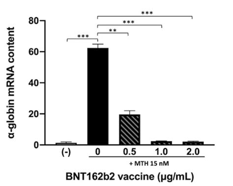 Makis Deals With The Mrna Technology Gene Based Injection Pfizer