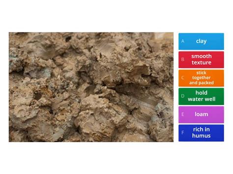 The Physical Properties Of Soil Quiz