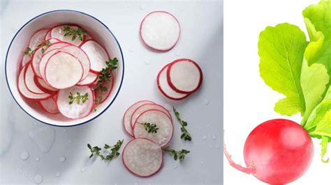 Turnip Vs Radish How To Tell The Difference