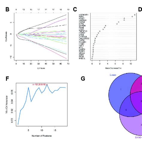 Diagnostic Biomarkers Obtained Through Three Machine Learning Download Scientific Diagram