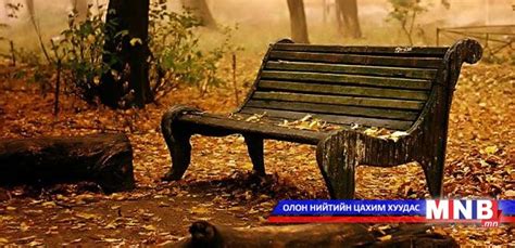 Намрын өнгө