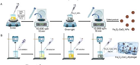 Figure 1 From A Self Supplying H2o2 Modified Nanozyme Loaded Hydrogel For Root Canal Biofilm
