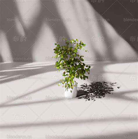 Blender盆栽blender布的模型128 Blender布的