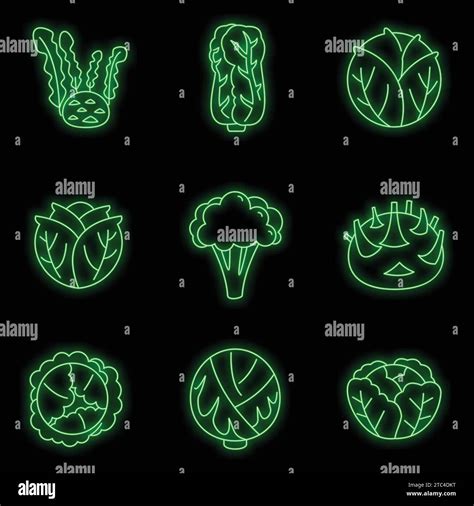 Agriculture Cabbage Icons Set Outline Set Of Agriculture Cabbage Vector Icons Neon Color On