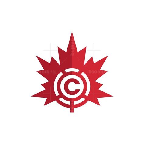Letter C Maple Logo Lettering Letter C Concept Design
