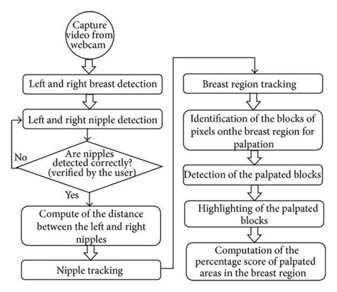 The Block Diagram Of The Algorithm For The Bse Evaluation Download