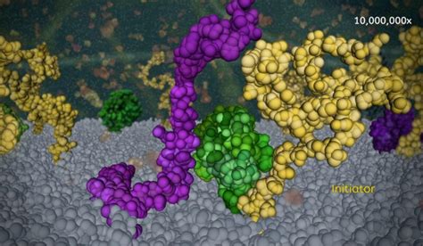 Atp Synthase Animation