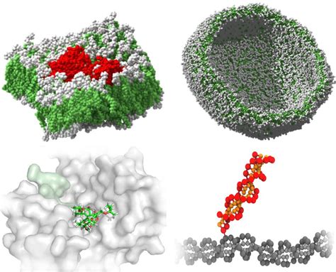 Applications Of Molecular Modeling At Lori Chambers Blog