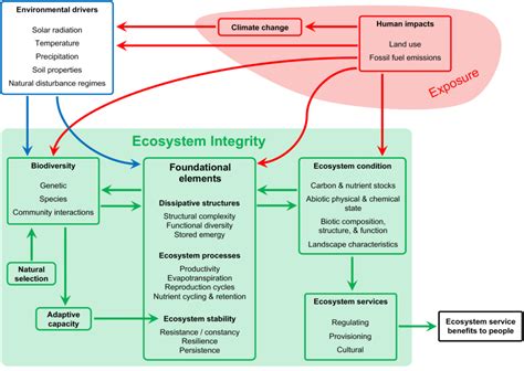 Using Ecosystem Integrity To Maximise Climate Mitigation And Minimise