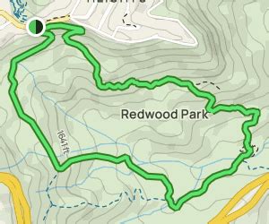 Redwood Forest Walk And Eagles Nest Trail To Redwood Bridle Trail 134